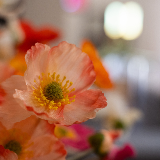 Past Funerals | Quinn Funerals Colac